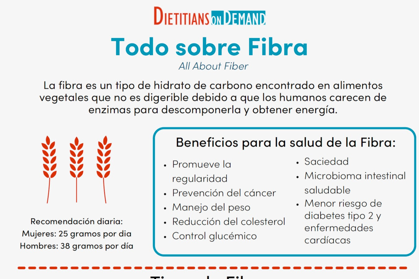All About Fiber | Infographic – Dietitians On Demand