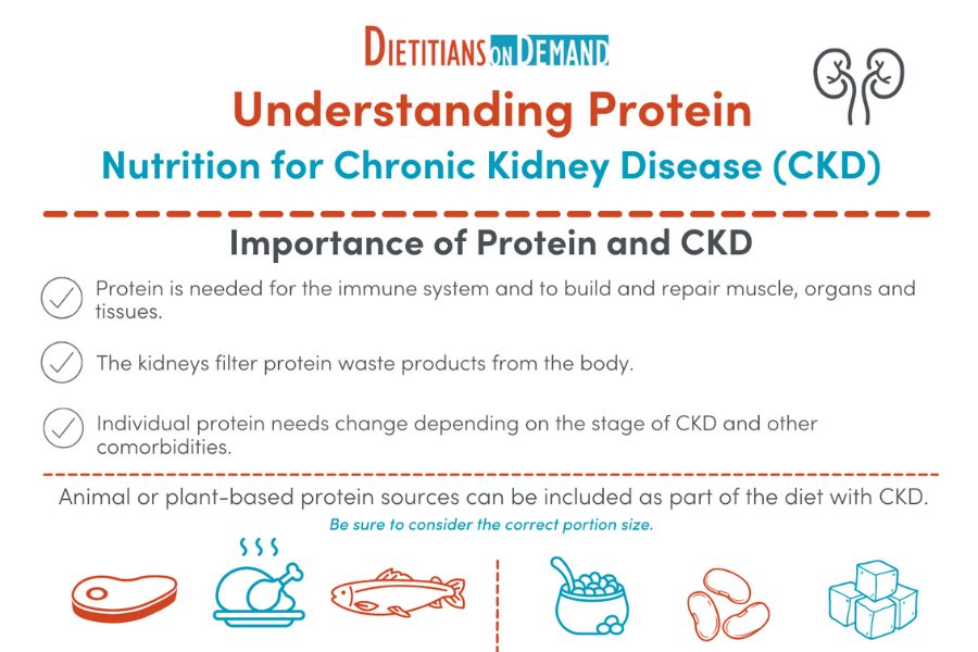 Understanding Protein for CKD | Infographic – Dietitians On Demand