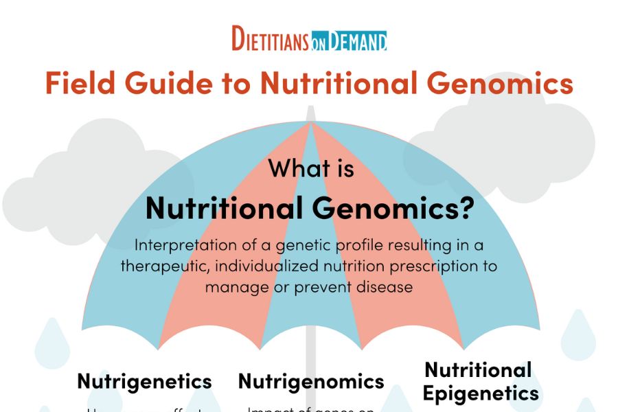 Field Guide to Nutritional Genomics | Infographic – Dietitians On Demand