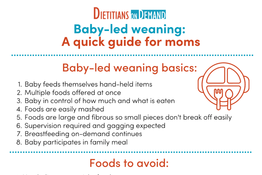 Baby-Led Weaning: A Quick Guide for RDs | Infographic – Dietitians On ...